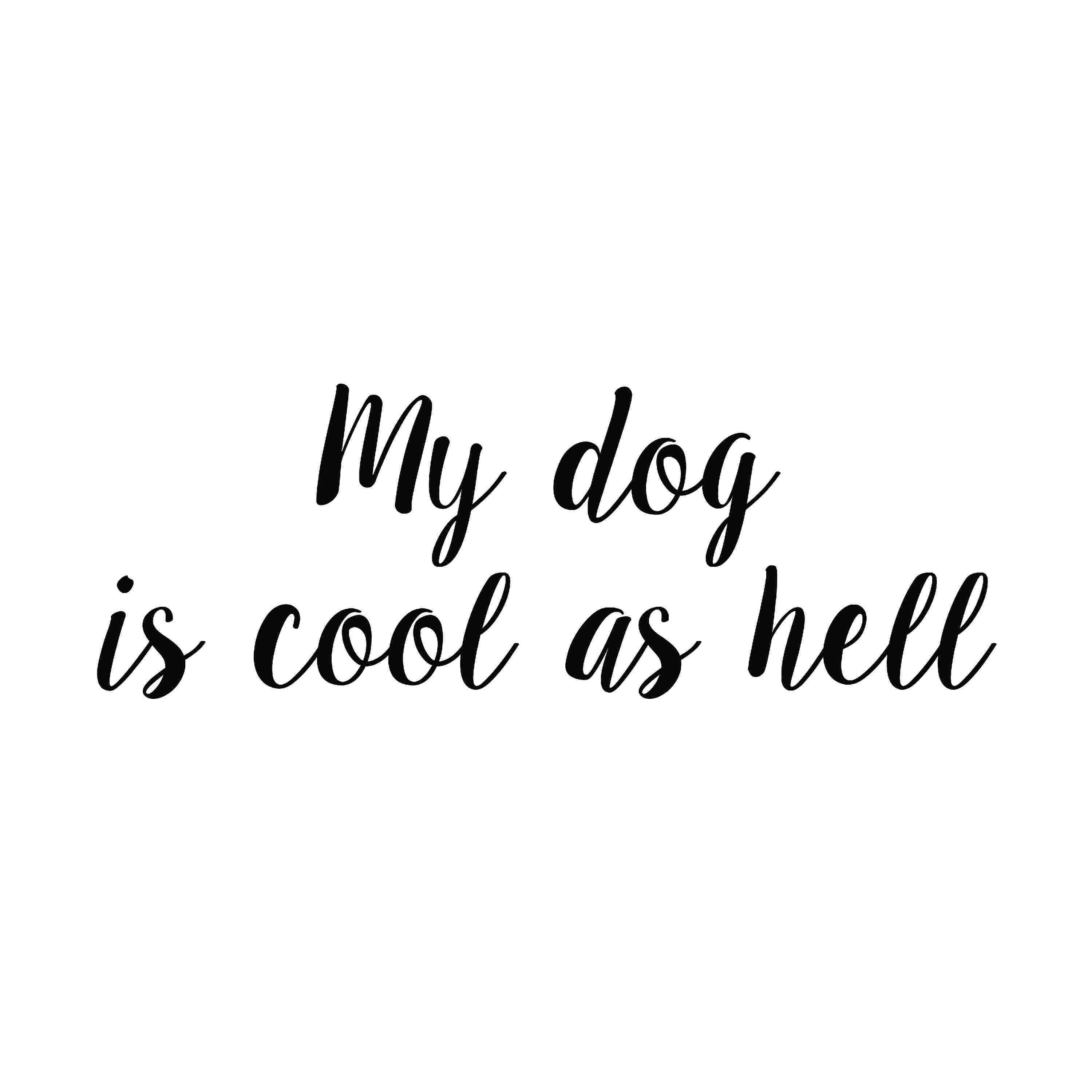 Trinx Cool As Hell 2 | Wayfair